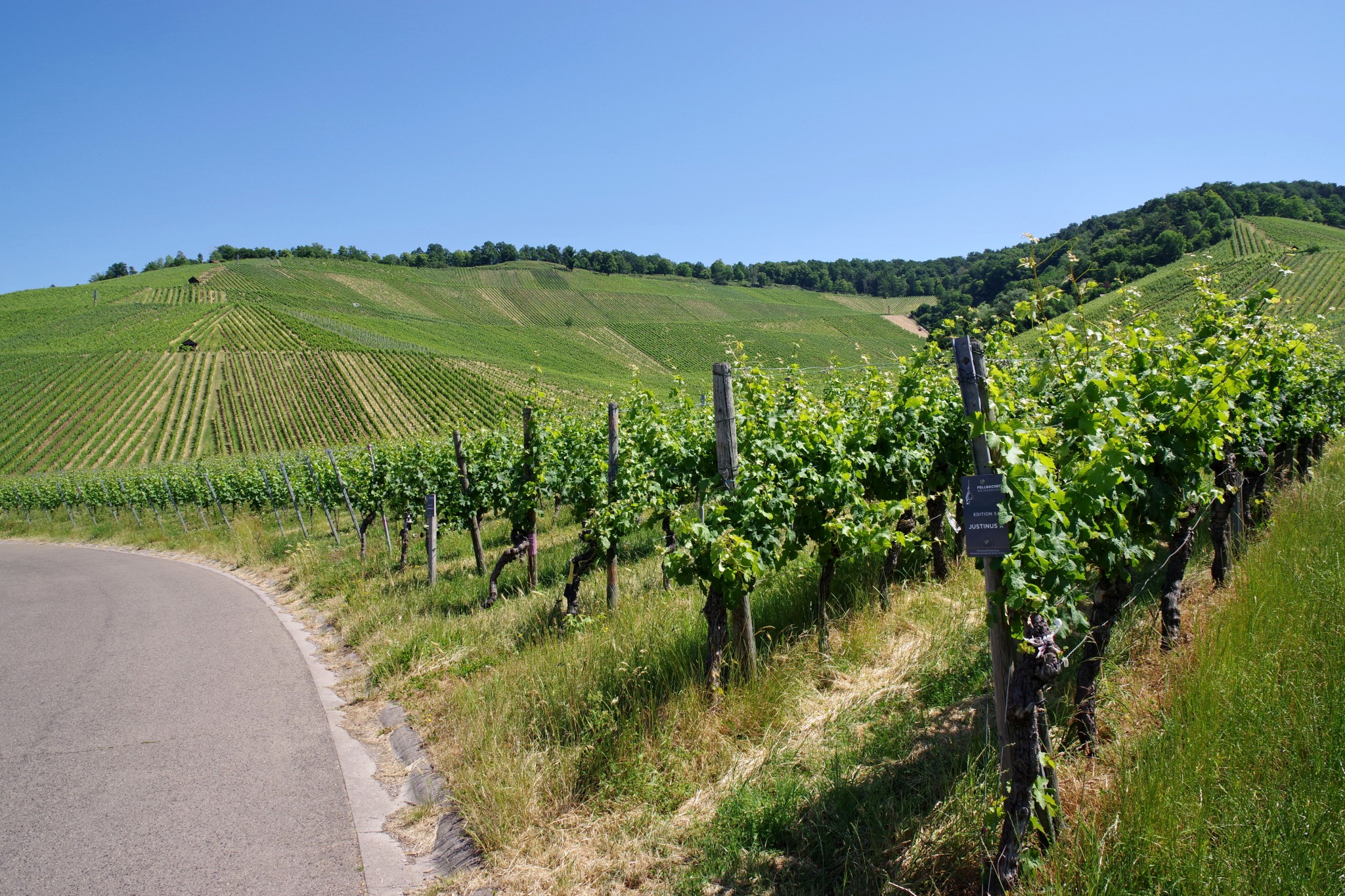 Schweiz 13 06 2023 Steffens Radtrekking Blog Schweiz 13 06 2023 Steffens Radtrekking Blog